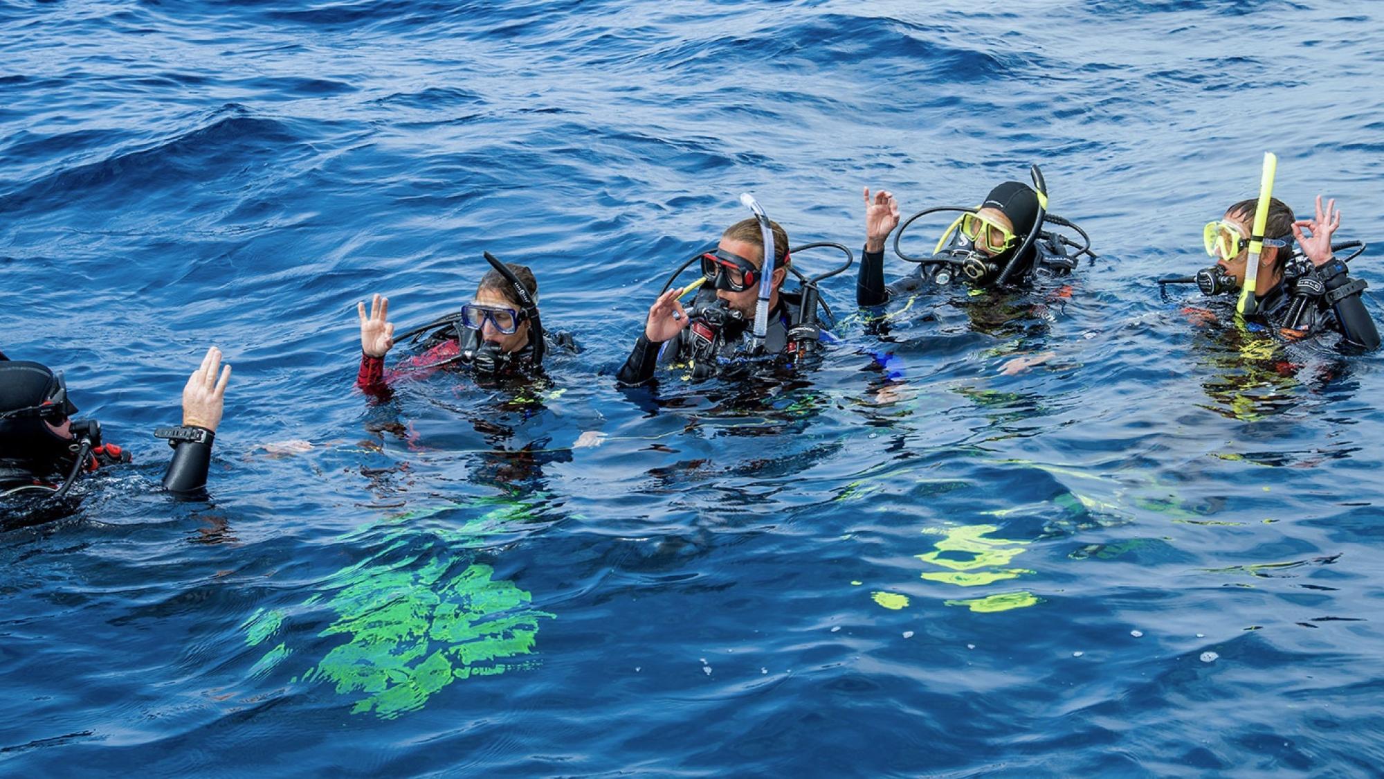 Training - Adventure Scuba Dive